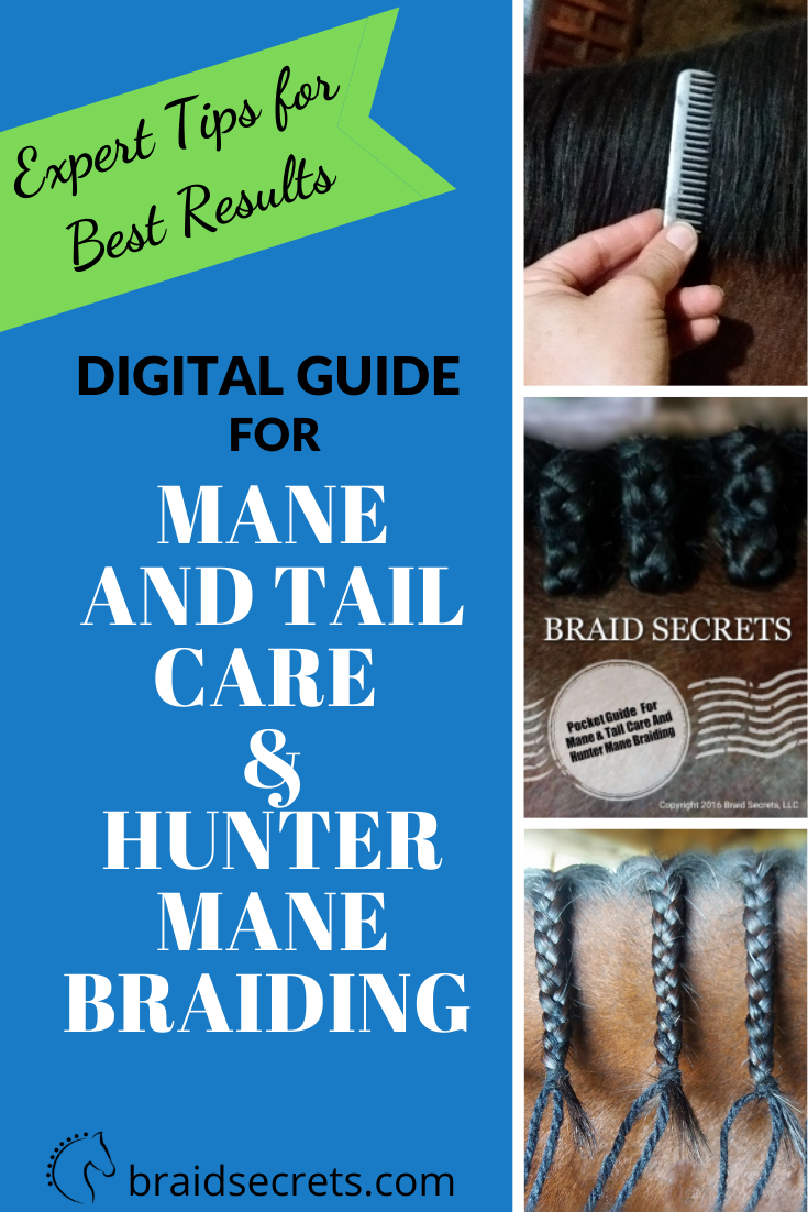 Digital Guide for Mane & Tail Care and Hunter Mane Braiding – Braid Secrets