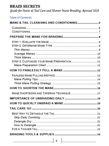 Digital Guide For Mane Tail Care And Hunter Mane Braiding Braid Secrets