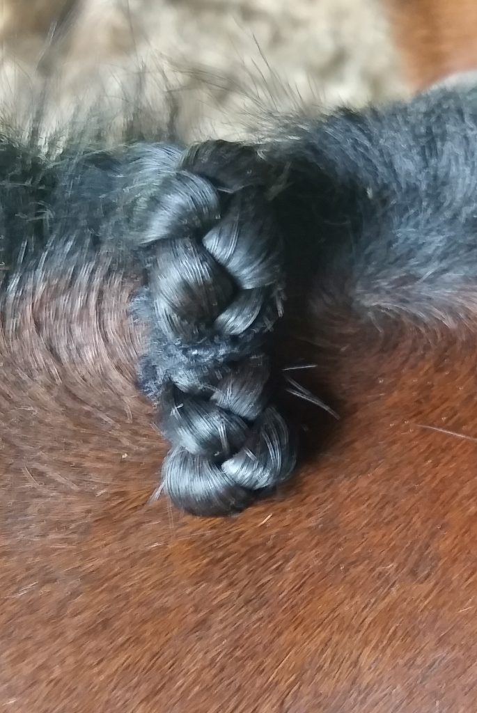 BEST MANE BRAIDING TIPS FROM NOTABLE EQUESTRIANS - BRAID SECRETS
