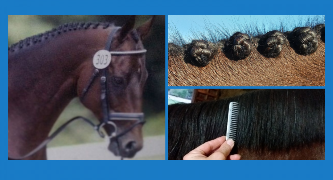 EXPERT TIPS ON HOW TO CREATE THE 3 EASIEST MANE BRAIDS - Braid Secrets