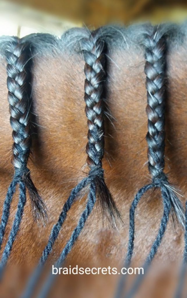 5 GENIUS HORSE BRAIDING HACKS - Braid Secrets