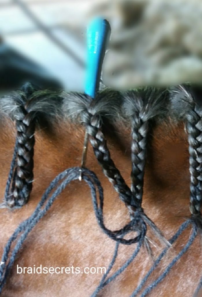 5 GENIUS HORSE BRAIDING HACKS – Braid Secrets