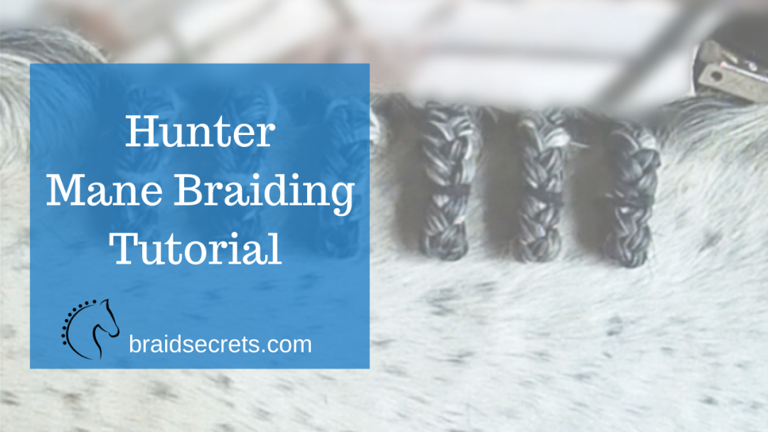 Digital Guide For Mane Tail Care And Hunter Mane Braiding Braid Secrets