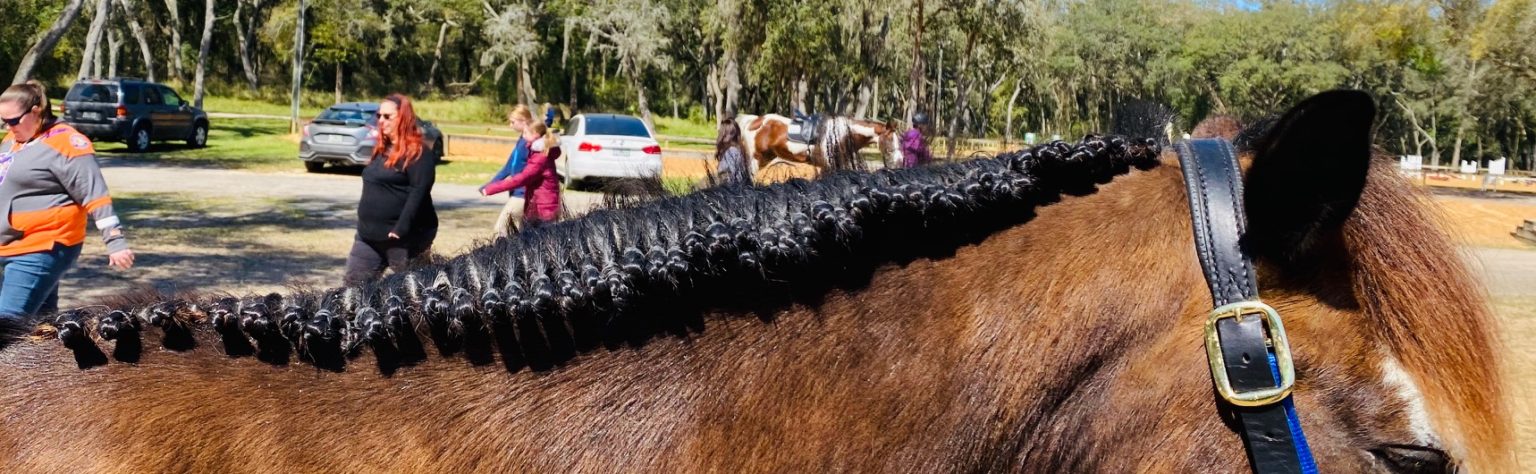 Mane Braiding Workshop – Braid Secrets