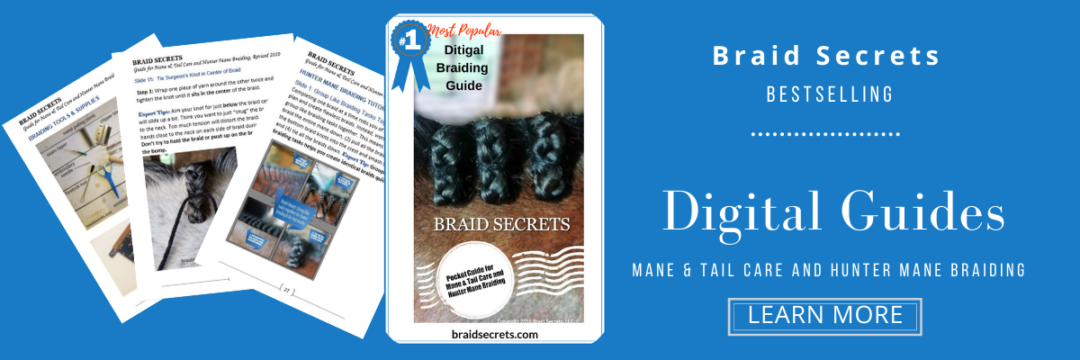 Digital Guide Hunter Mane Braiding Tutorial Braid Secrets