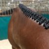Mane Braiding Workshop – Braid Secrets