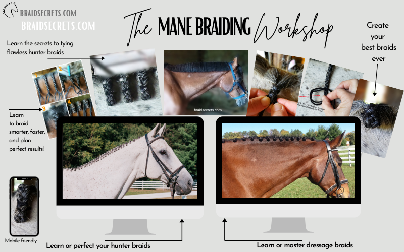 Home - Braid Secrets How to Braid a Horse's Mane Flawlessly