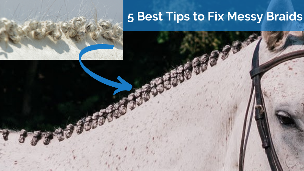5 BEST TIPS TO FIX MESSY BRAIDS - Braid Secrets