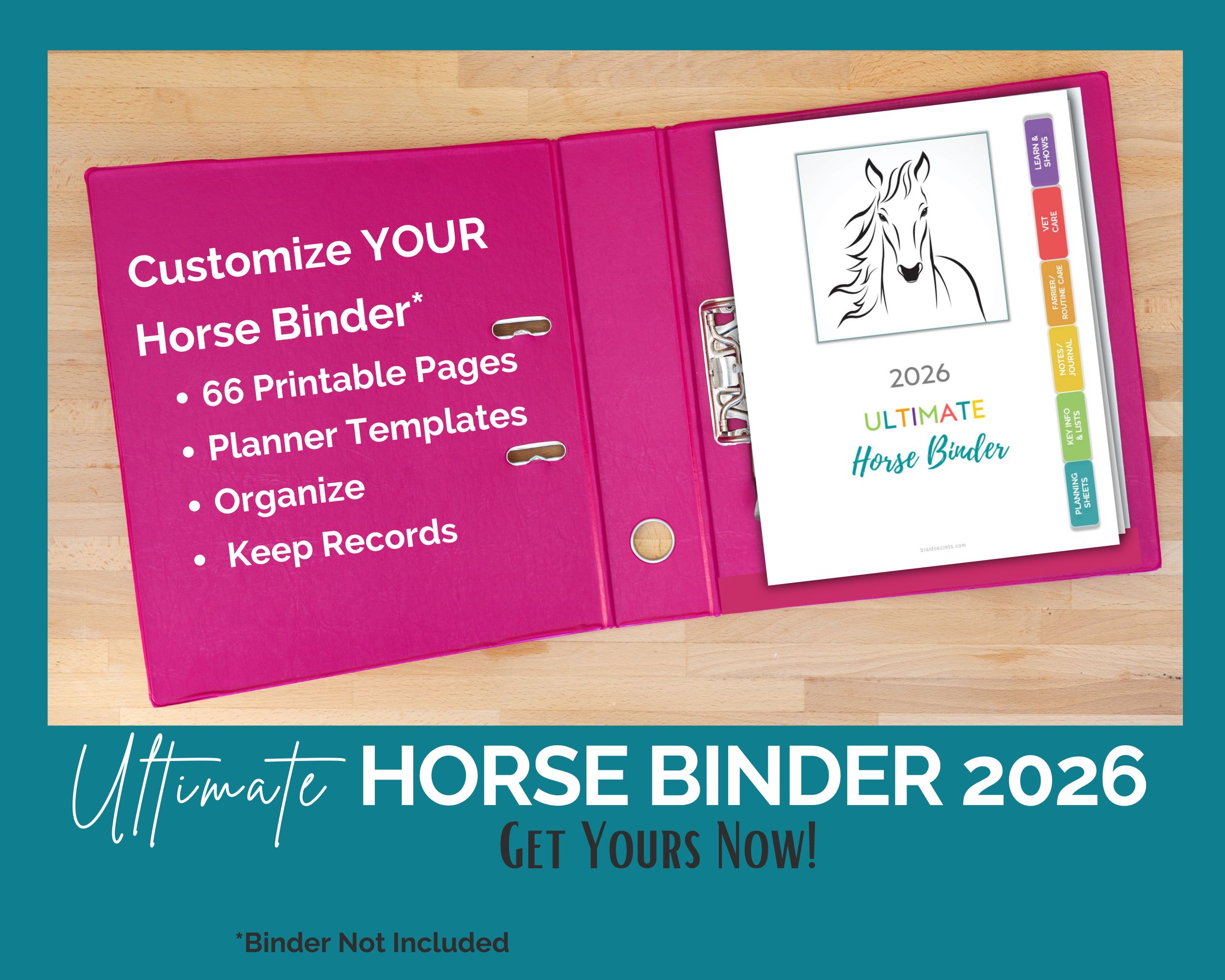 2026 Horse Binder Cover Real Example – Braid Secrets